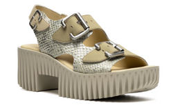 Fun With Wedges – Carla Shoes and Accessories